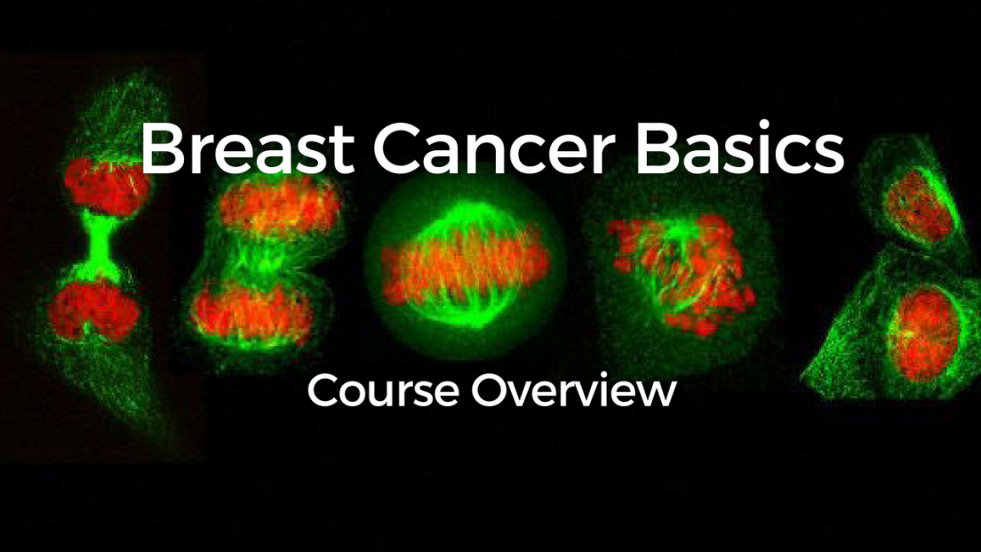 The Breast Cancer School: Video Lessons for Patients
