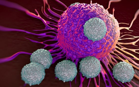 pathology-report-video-image - Breast Cancer School for Patients