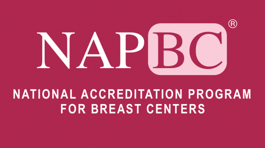 Cutting Edge Advances Video Course: The Breast Cancer School for Patients