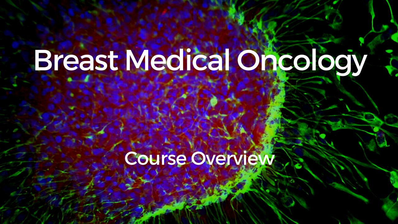 The Breast Cancer School: Video Lessons for Patients