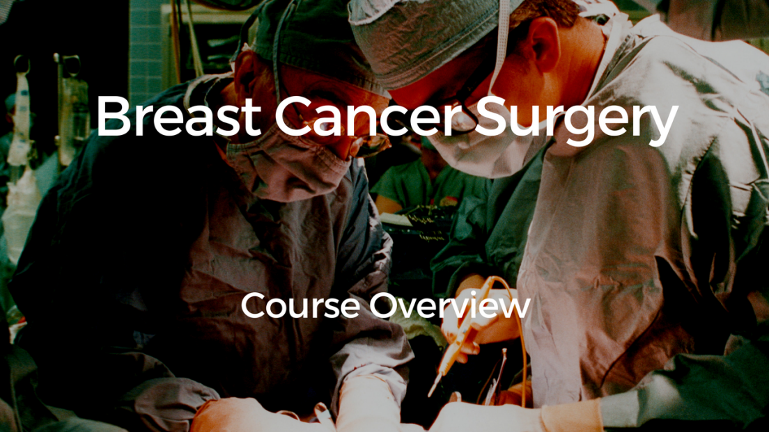 The Breast Cancer School: Video Lessons for Patients